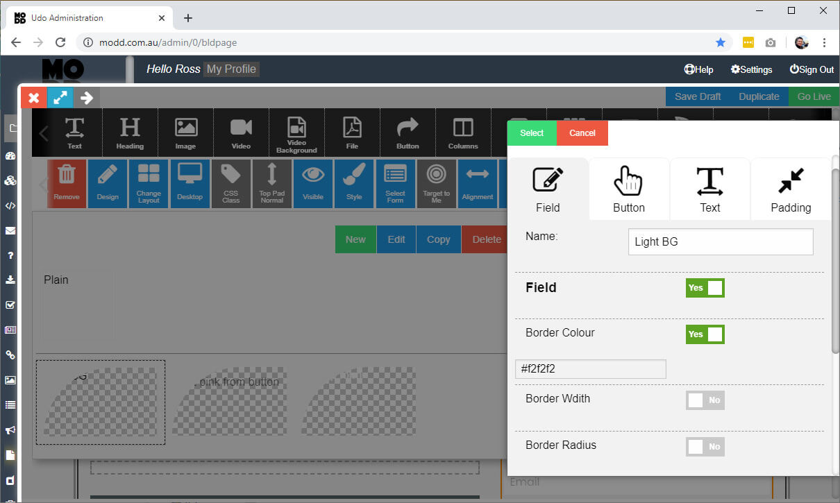 Forms can have Multiple Styles